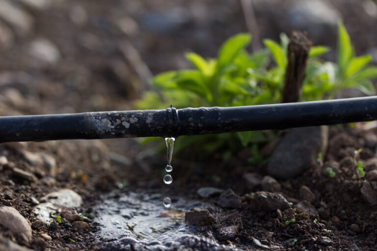 Drip Irrigation | Greenleaf's Garden Design